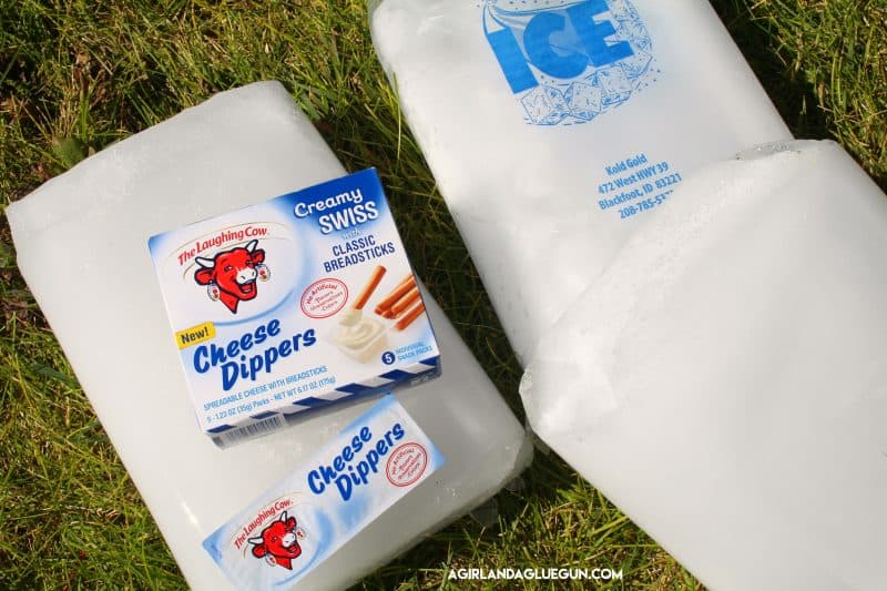 Ice blocking and 30 other fun things to do with your kids! - A girl and ...