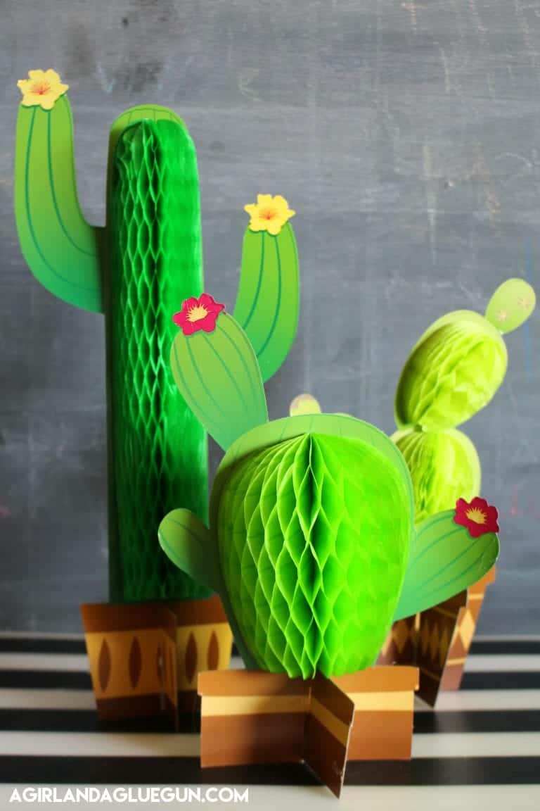 Cactus Diy Roundup - A girl and a glue gun