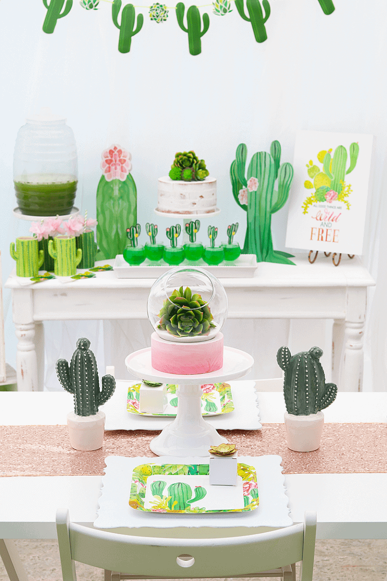 Cactus Diy Roundup - A girl and a glue gun