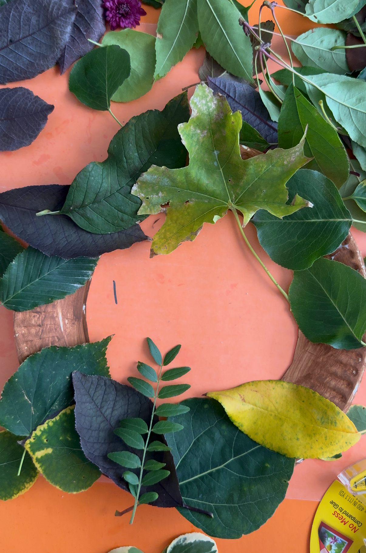 Diy Leaf Wreath Craft - A girl and a glue gun