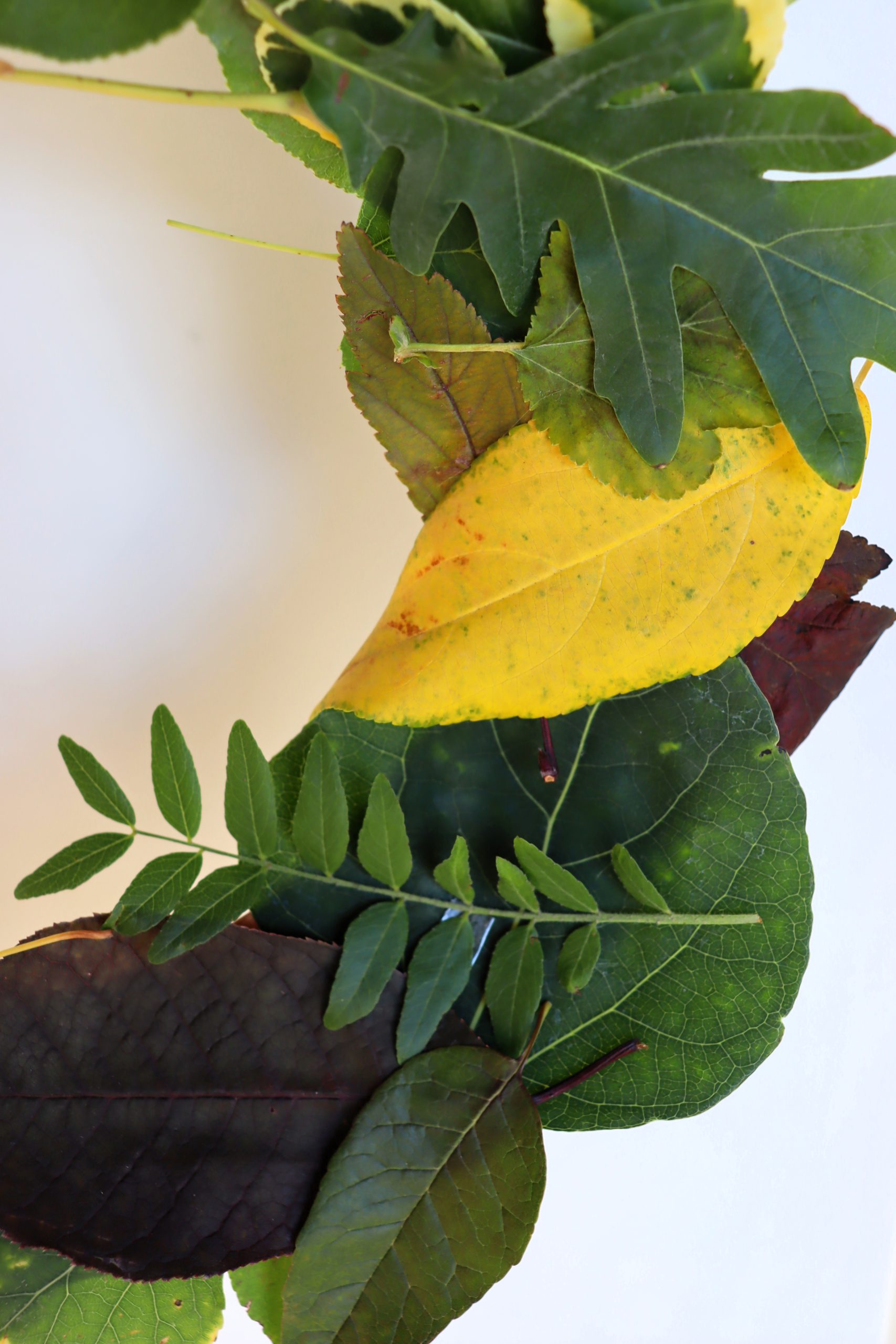 Diy Leaf Wreath Craft - A girl and a glue gun