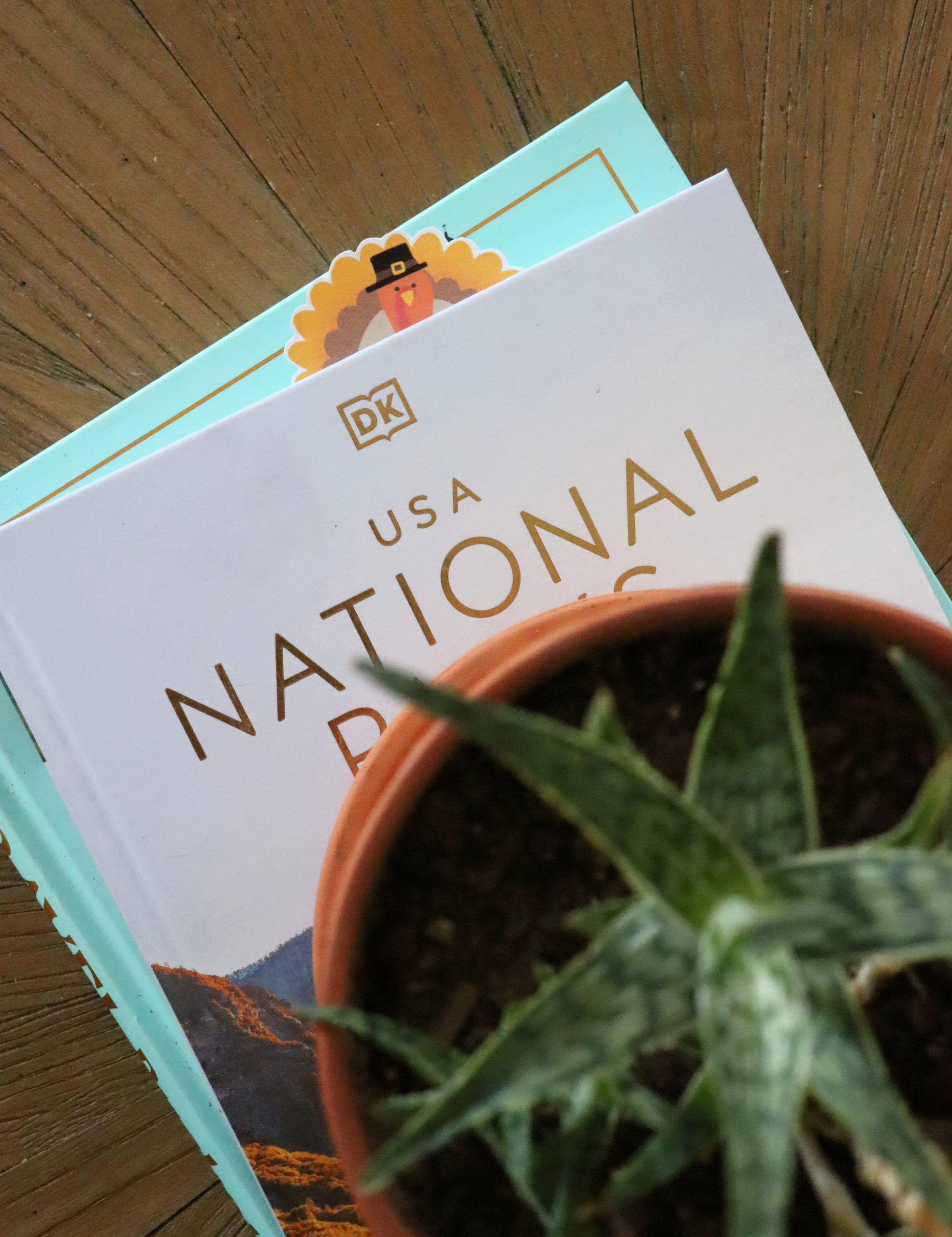 Turkey Hide and Seek Game for Kids - A girl and a glue gun